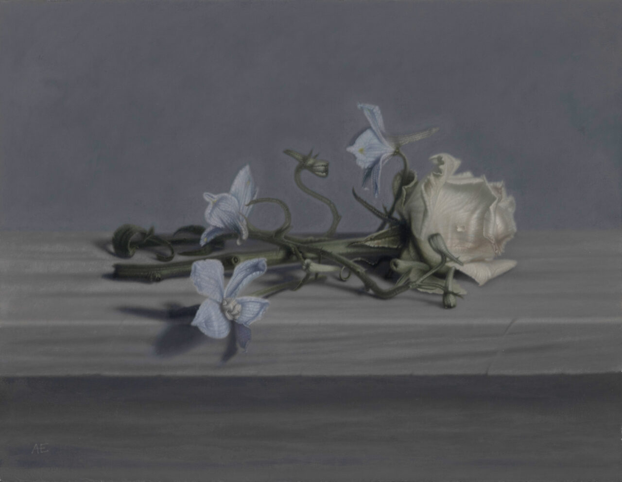 Alex Emsley | Artist